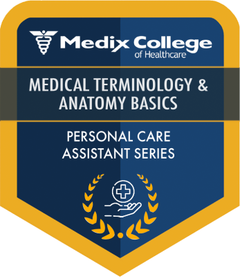 Medical Terminology and Anatomy Basics - Medix Online