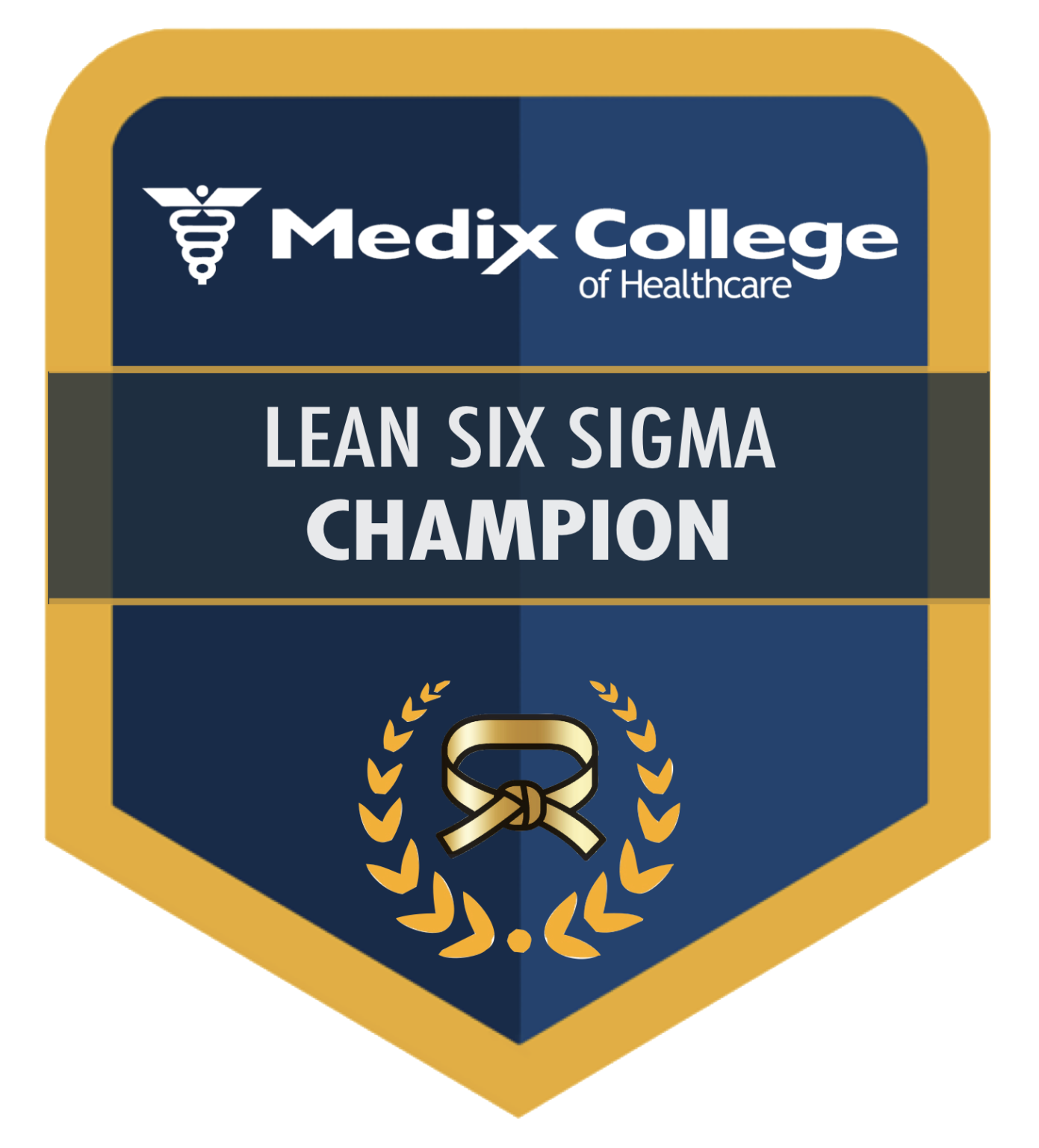 Lean Six Sigma – Champion Certificate - Medix Online